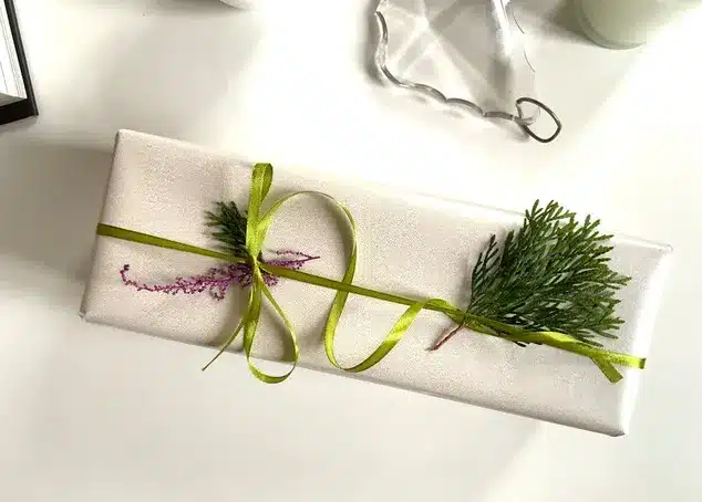 Verbos "have" y "has": Guía esencial para dominar el inglés